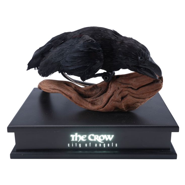 123. Cable-Controlled Animatronic Crow Puppet on Light-Up Display ...