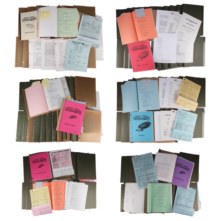 Lot # 1480: STAR TREK: VOYAGER (T.V. SERIES, 1995 - 2001) - Michael and ...