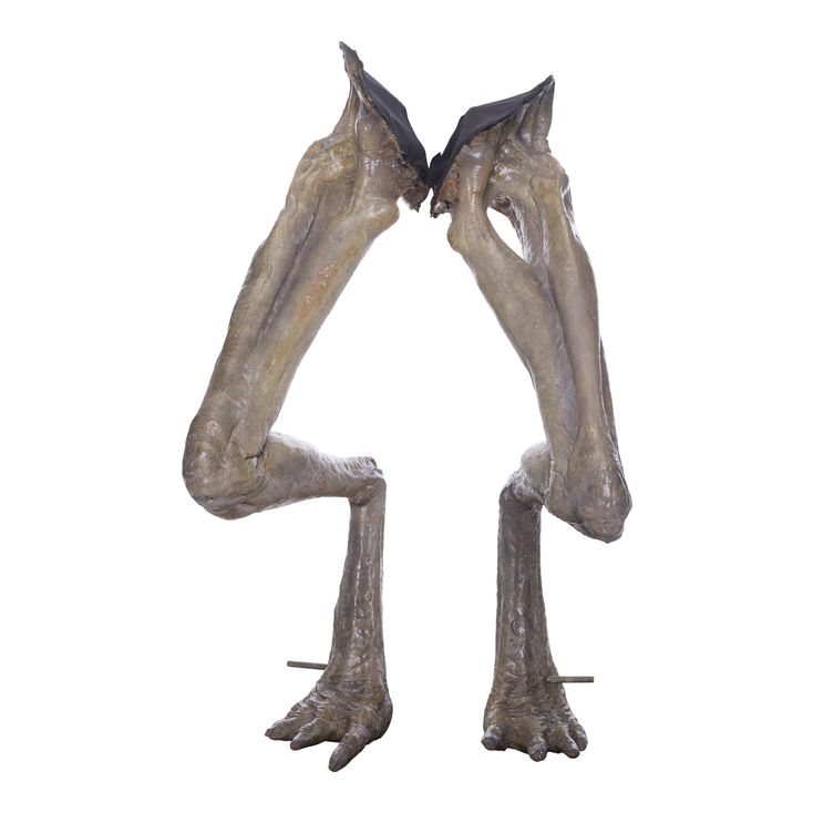 Lot 549 - Newborn Legs | ALIEN RESURRECTION (1997)