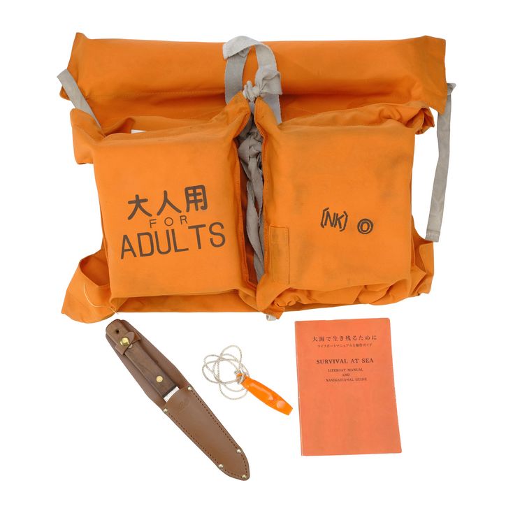 Lot #1361: LIFE OF PI (2012) - Pi Patel's (Suraj Sharma) Life Jacket ...