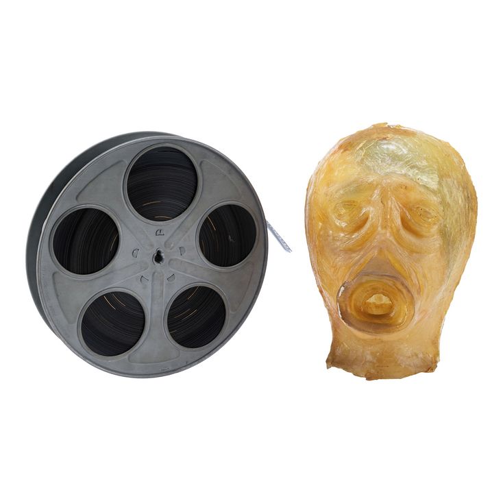 Lot # 1555: STAR TREK: THE ORIGINAL SERIES (1966-1969) - Salt Vampire ...