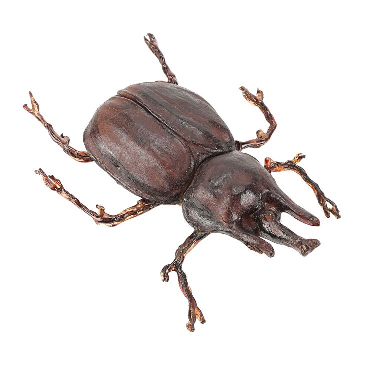 Banquet Beetle | INDIANA JONES AND THE TEMPLE OF DOOM (1984)