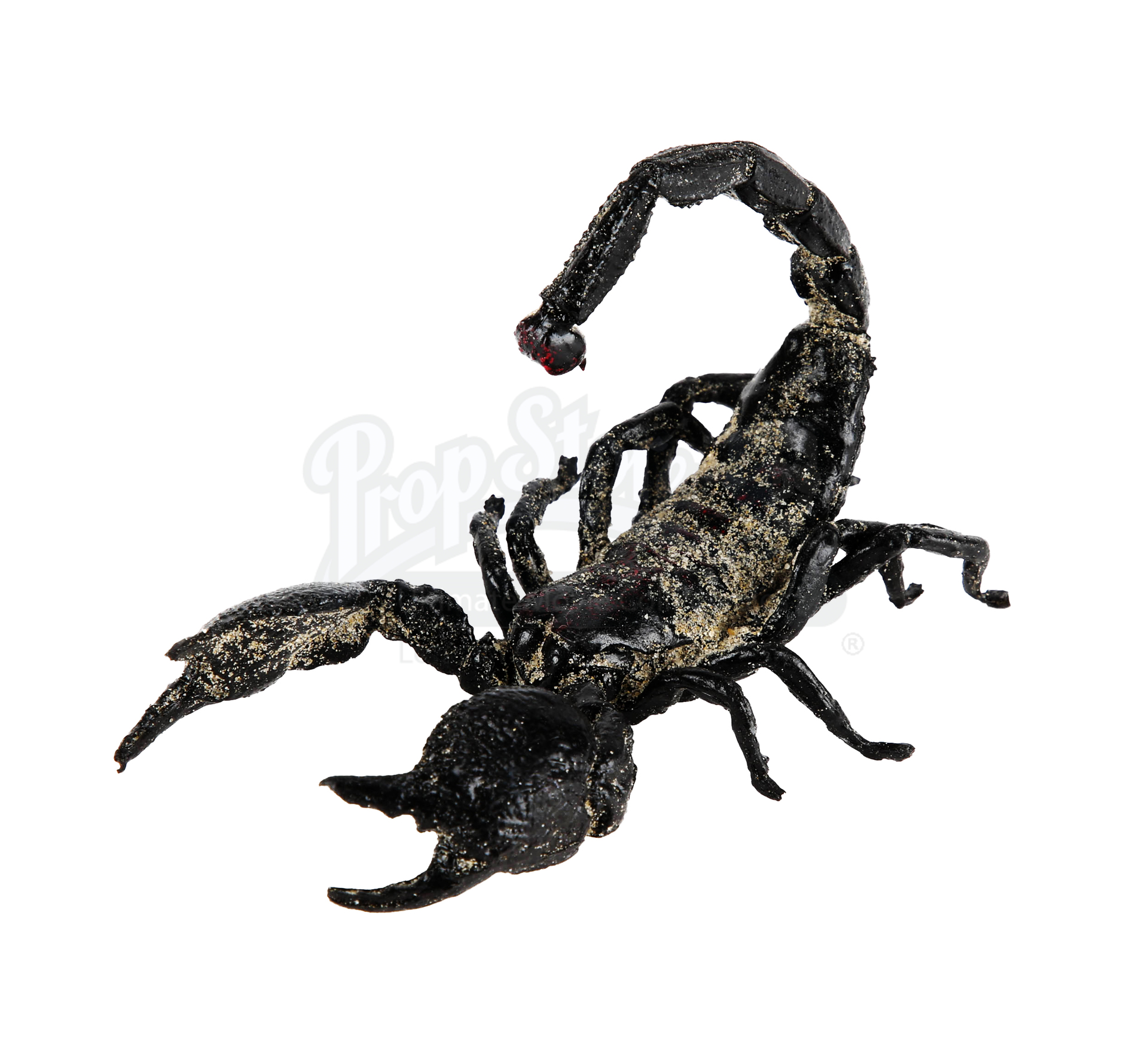 Rubber Tomb Scorpion | Prop Store - Ultimate Movie Collectables