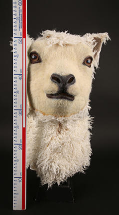 Sheep Head Mask | Prop Store - Ultimate Movie Collectables