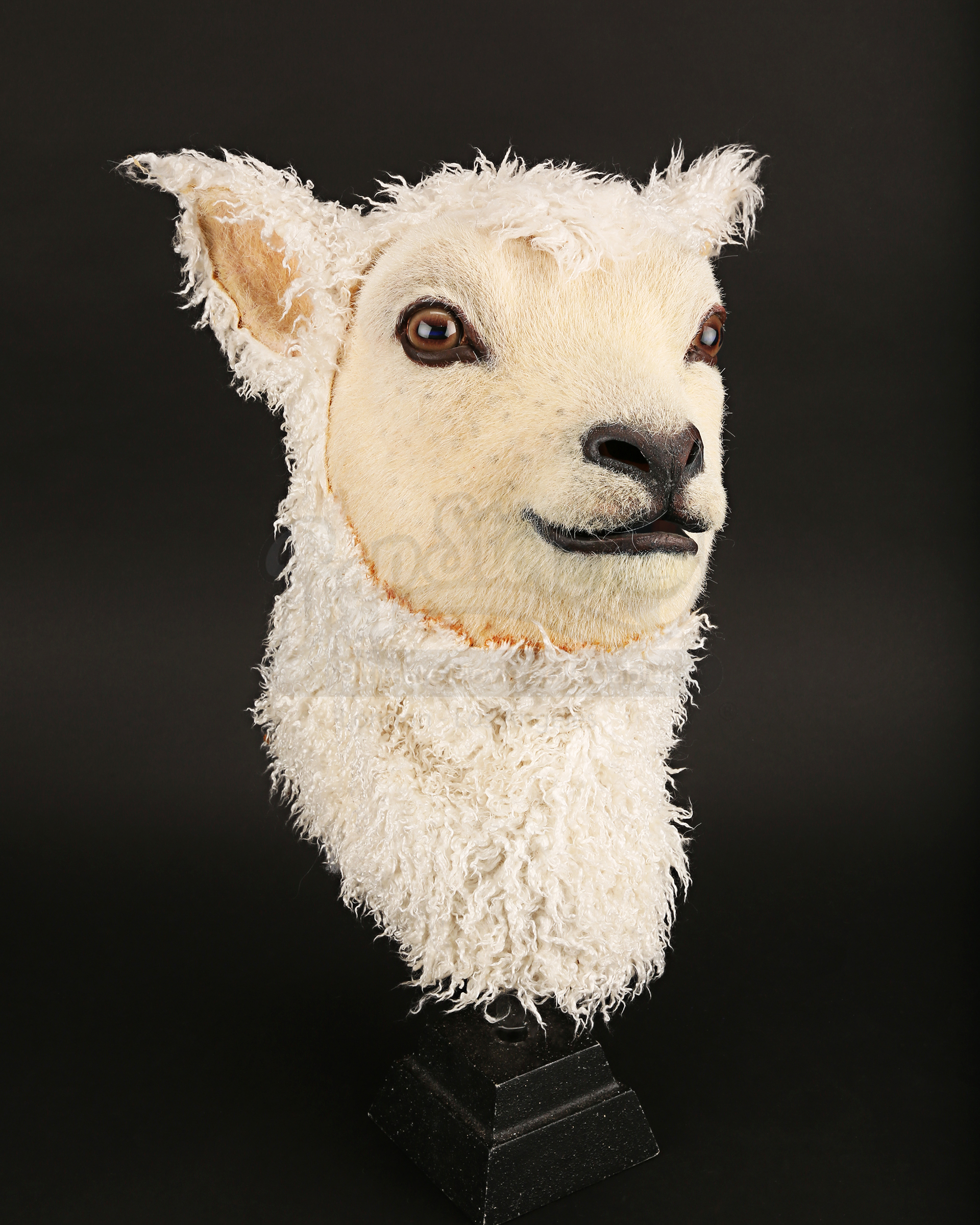 Sheep Head | Prop Store - Ultimate Movie Collectables