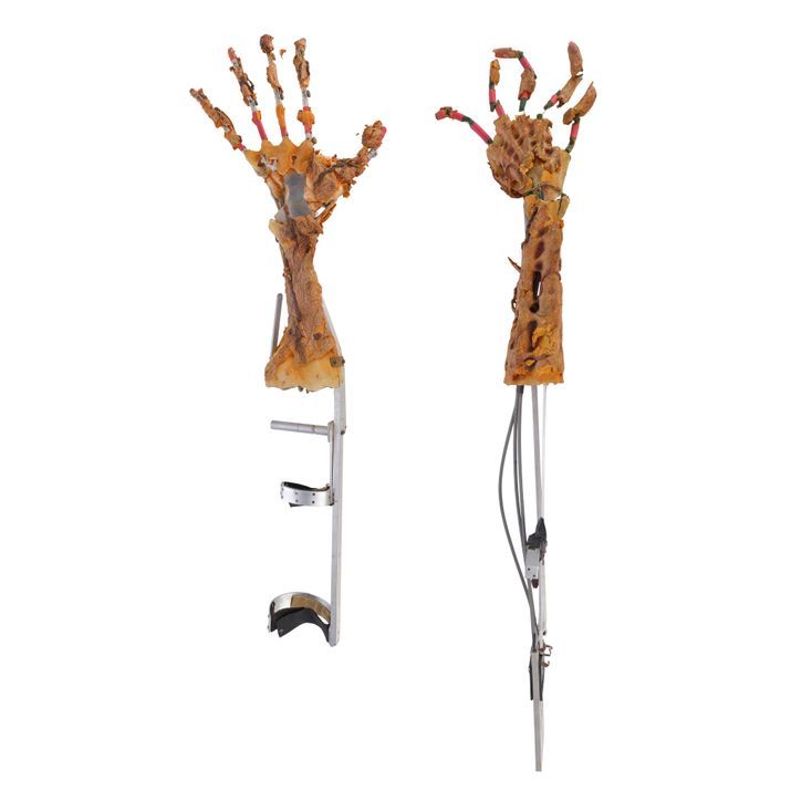 289. Planet Hollywood Collection: Pair of Cable-Controlled Animatronic ...