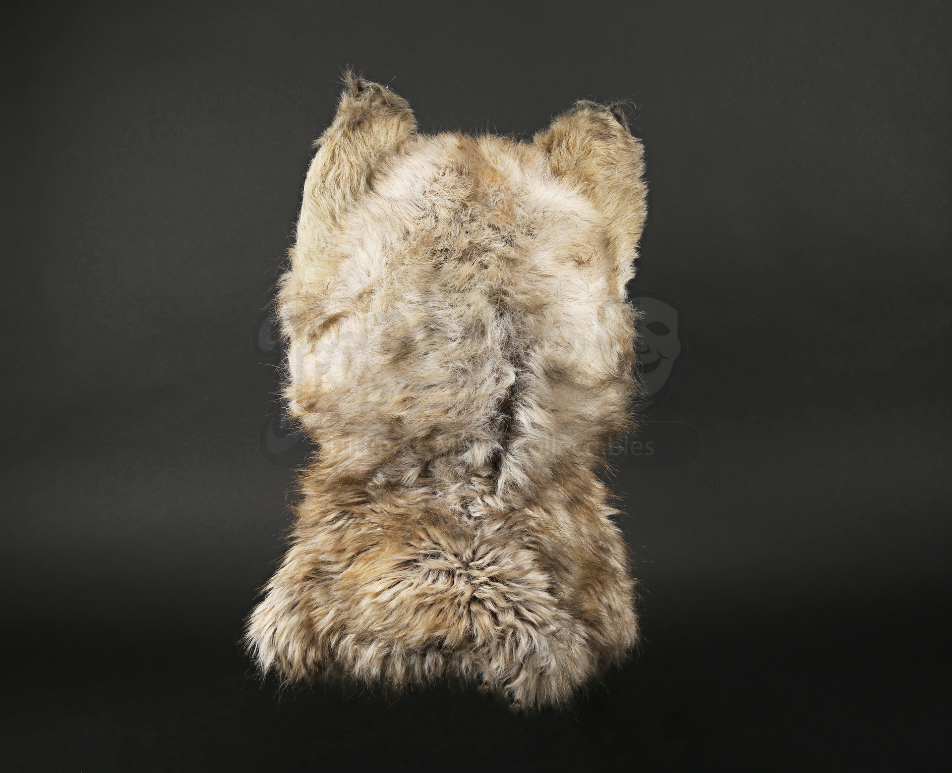 Wolf Head Mask | Prop Store - Ultimate Movie Collectables