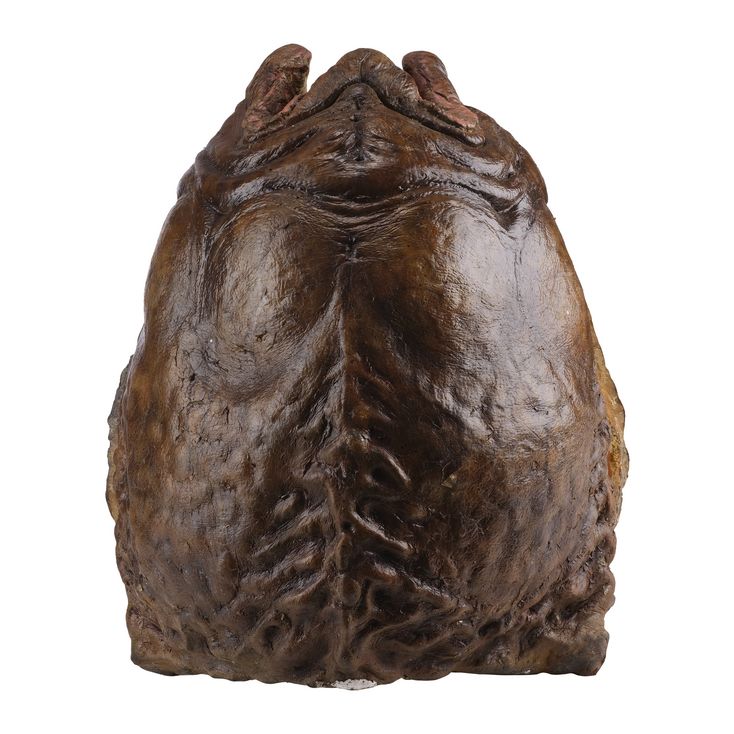 511. Static Xenomorph Egg | ALIEN RESURRECTION (1997)