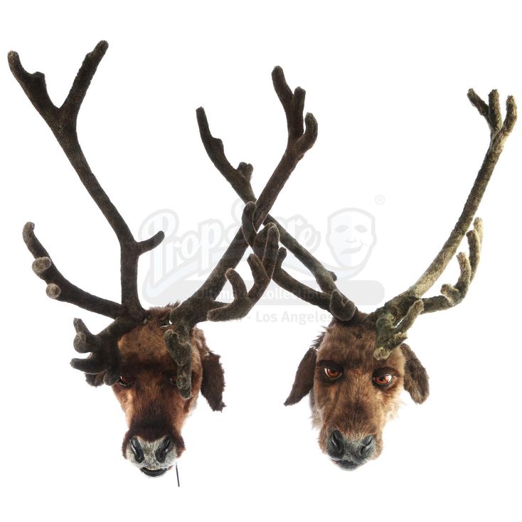 Pair of Reindeer Heads With Antlers | SANTA CLAUSE 2, THE (2002)