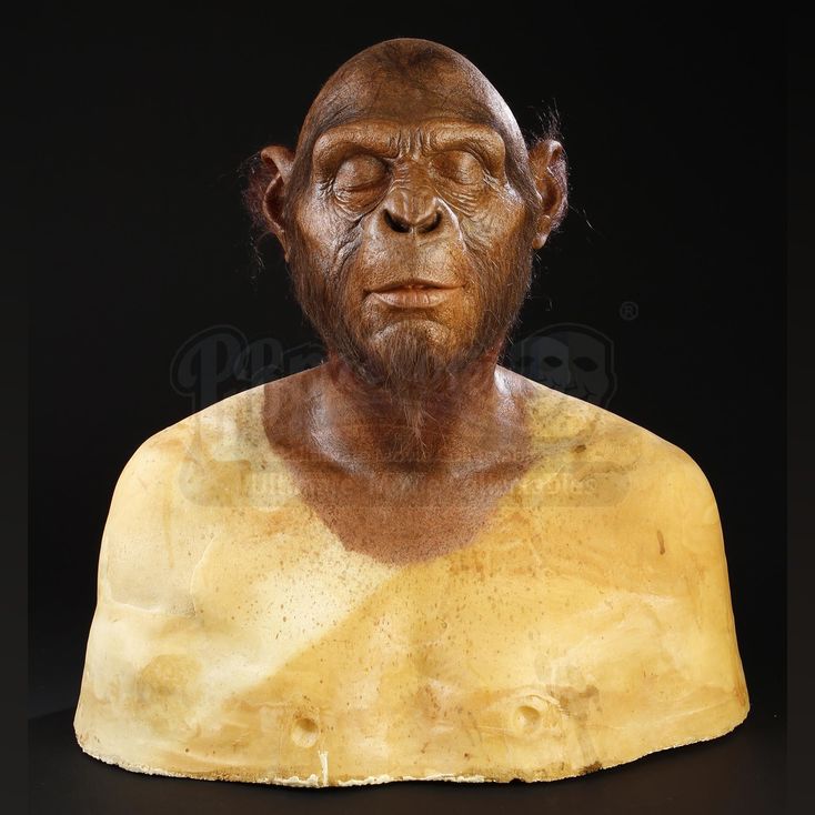 311 - General Thade (Tim Roth) Paint Test Bust | PLANET OF THE APES (2001)