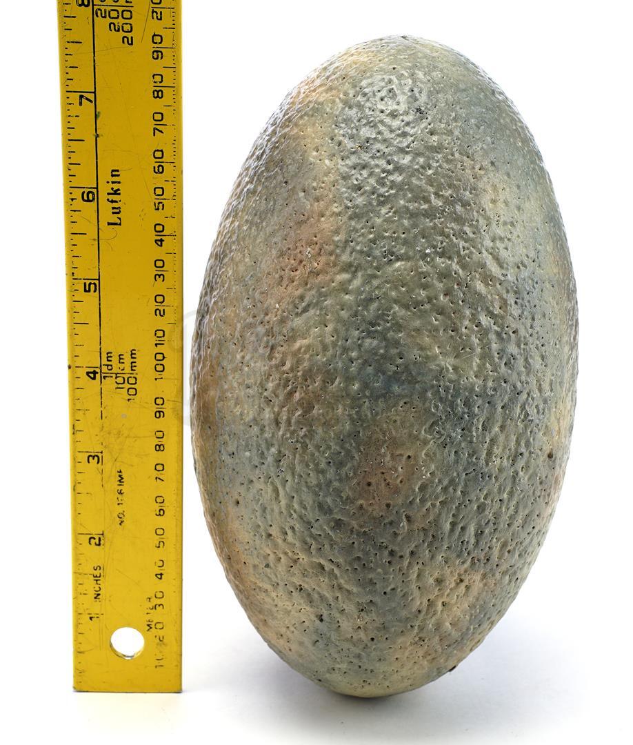 Propstore - Find Your Extraordinary