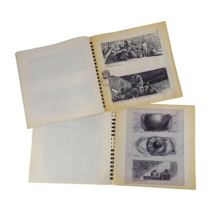 Lot # 57: BLADE RUNNER (1982) - Pair of Printed Storyboard Booklets