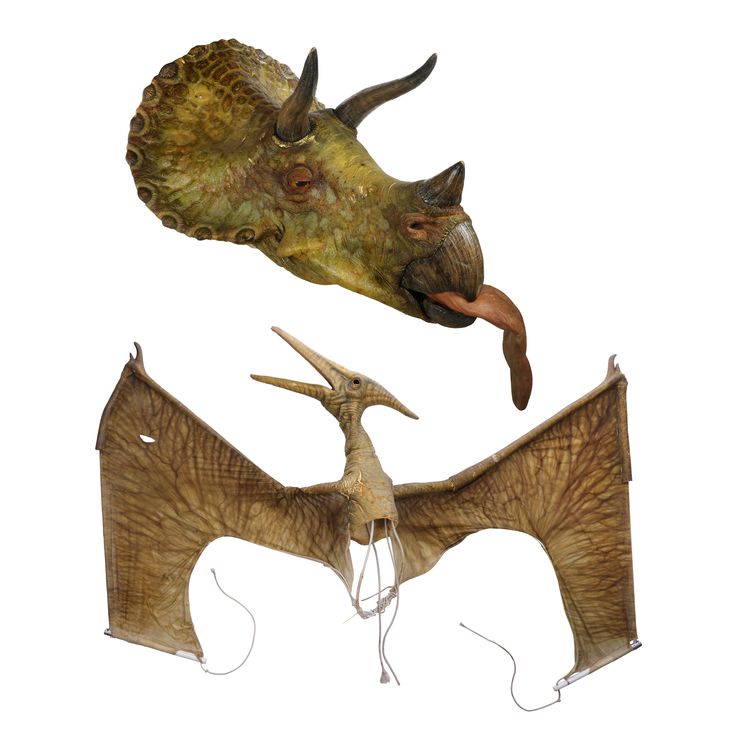 Lot 860 - BBC Children In Need Collection Full-size Triceratops Head ...