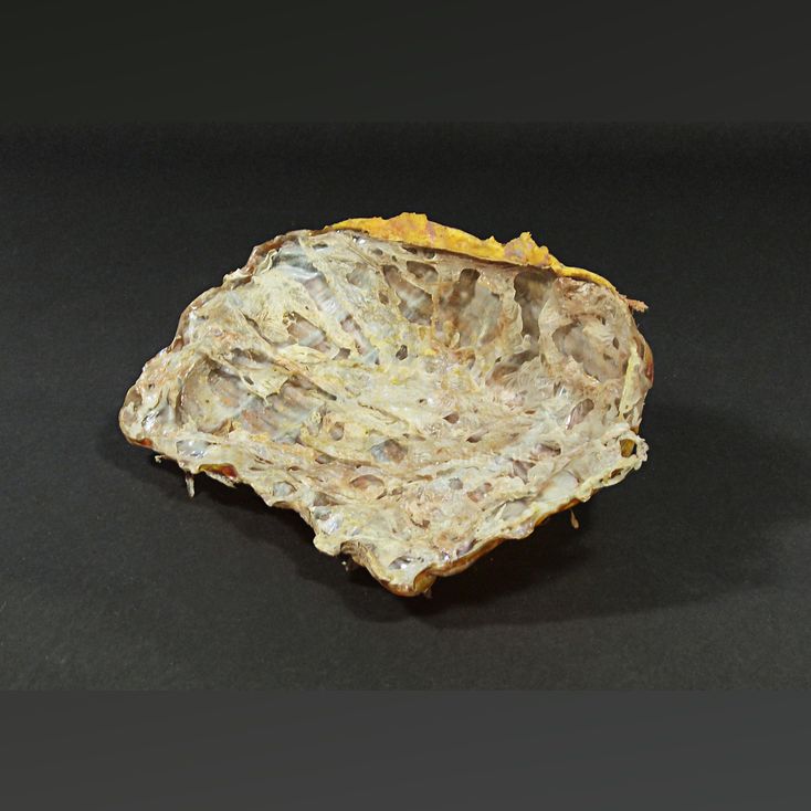 Creature Pod Piece | MIMIC 2 (2001)