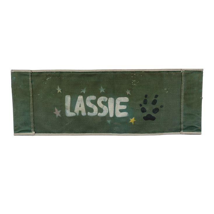 1073. Rudd Weatherwax Chairback Display | LASSIE (1954-1974)