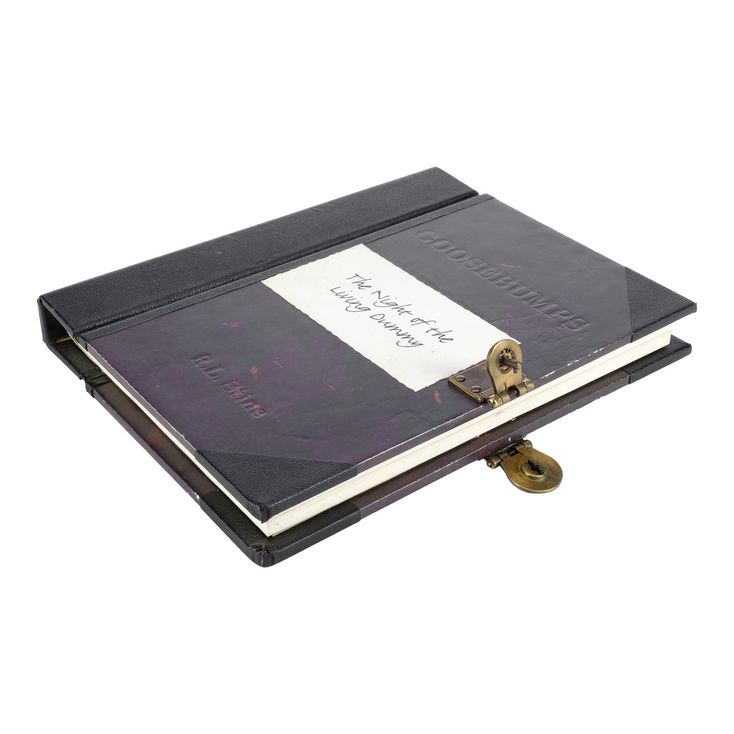 Lot # 638: GOOSEBUMPS (2015) - The Night of the Living Dummy Locking Book