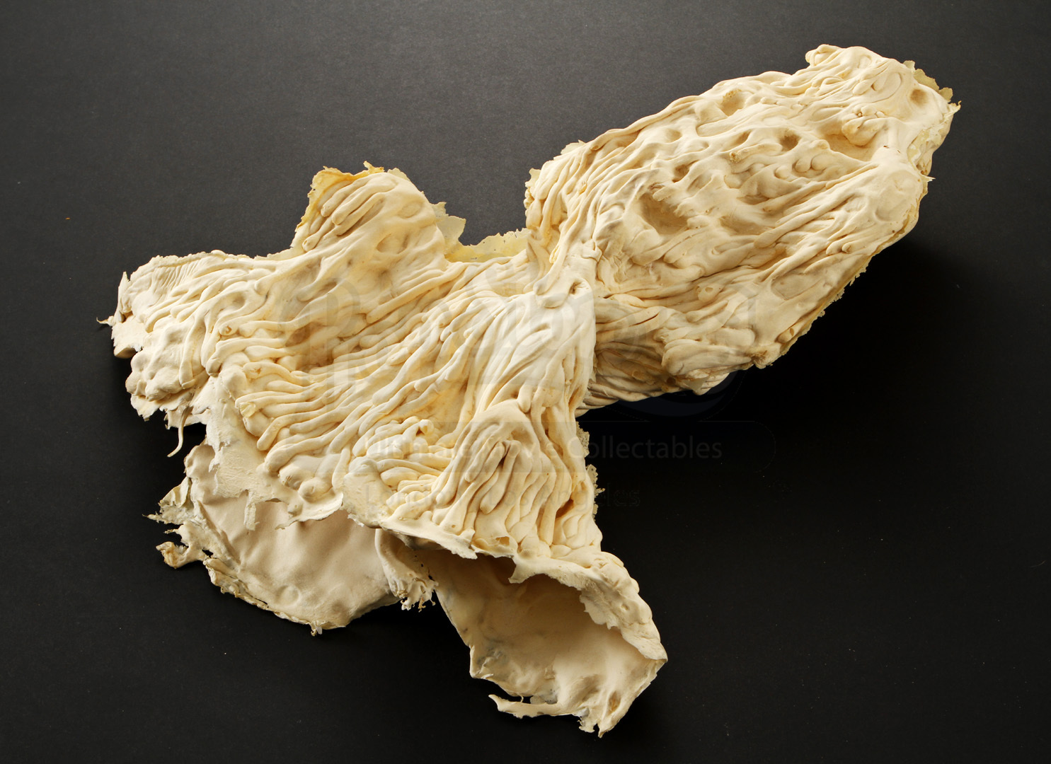 Propstore - Find Your Extraordinary