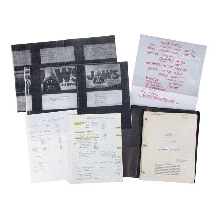 Lot 1343 - Script and Production Notes | JAWS: THE REVENGE (1987)