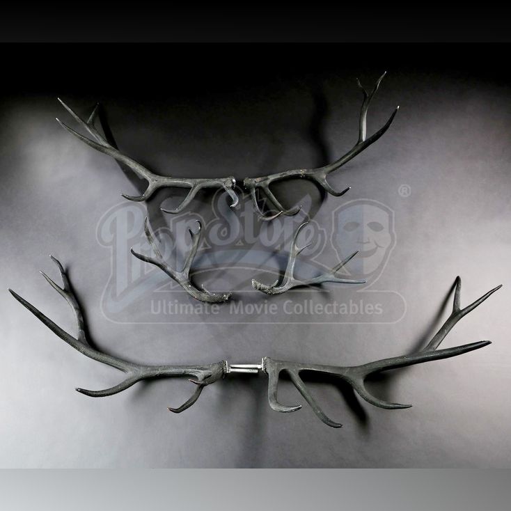 Marissa Schurr (Holly Deveaux) Black Mounting Antlers | HANNIBAL (TV ...