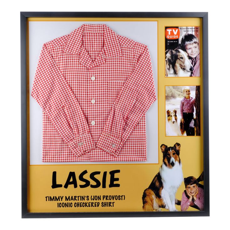 Lot #1356: LASSIE (1954-1974) TV SERIES - Timmy Martin's (Jon Provost ...