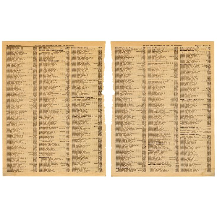 Lot 38 - Loose Phone Book Page with Dr. Emmett Browns (Christopher ...