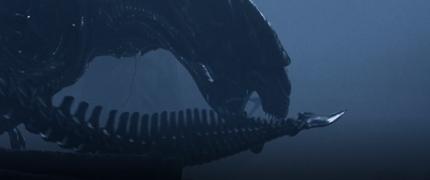Two Xenomorph Tail Components | Prop Store - Ultimate Movie Collectables