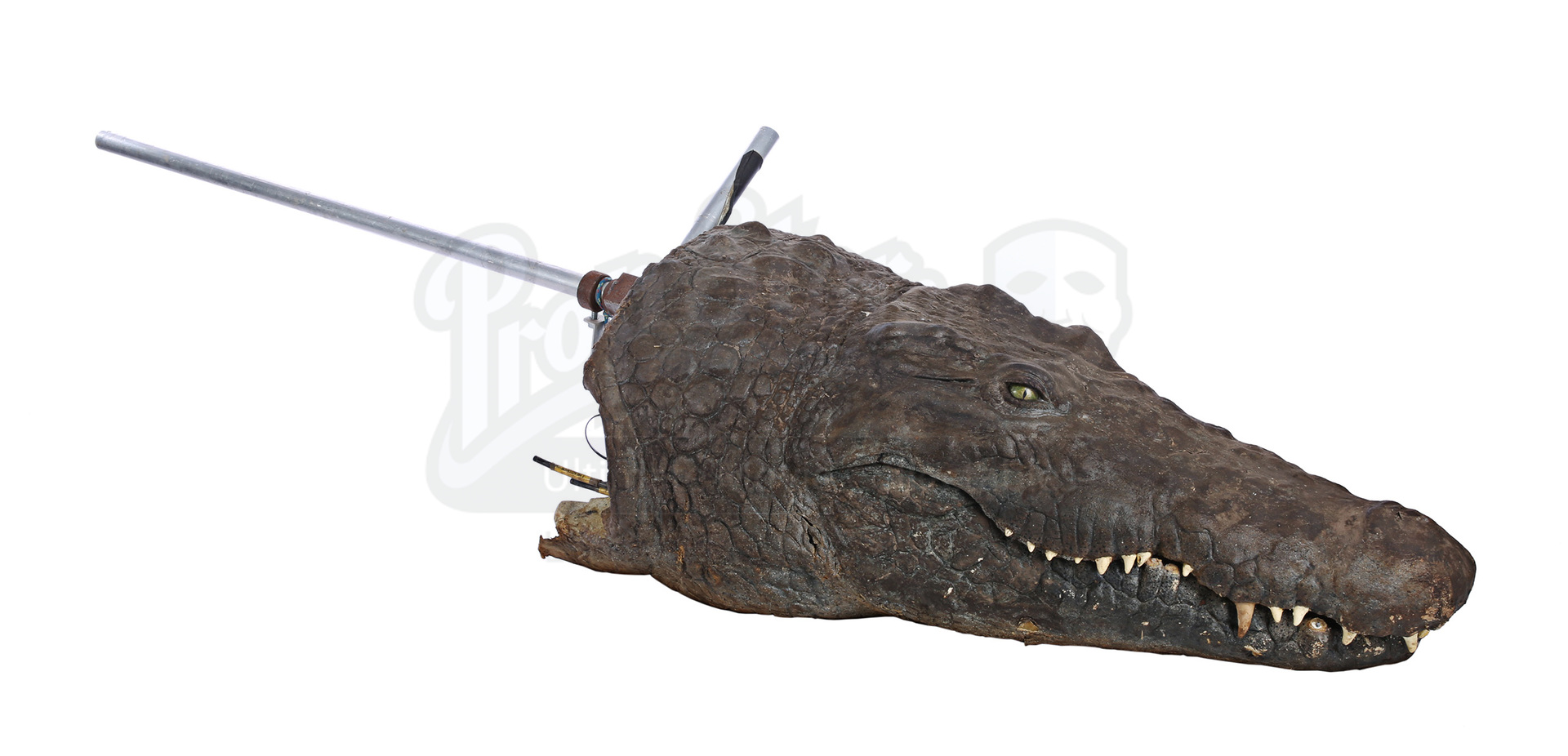 Lot #178 - Unknown Production - Life-Sized Animatronic Alligator Head