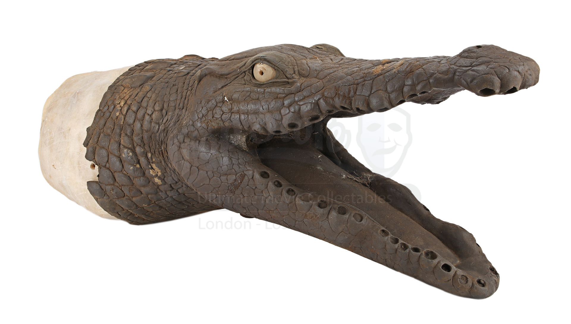 Lot #179 - Unknown Production - Life-Sized Crocodile Head