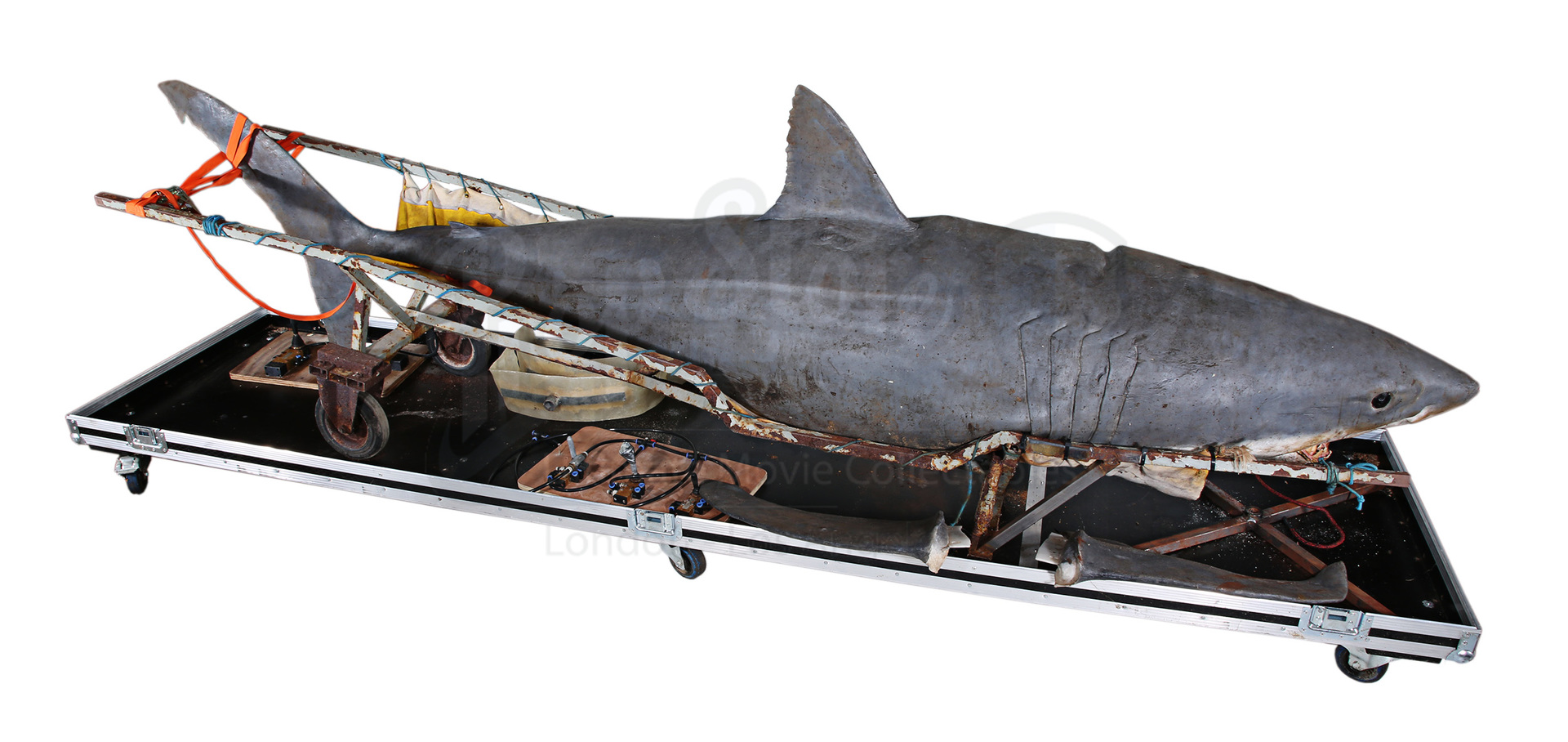 Lot #177 - Unknown Production - Life-Sized Animatronic Shark
