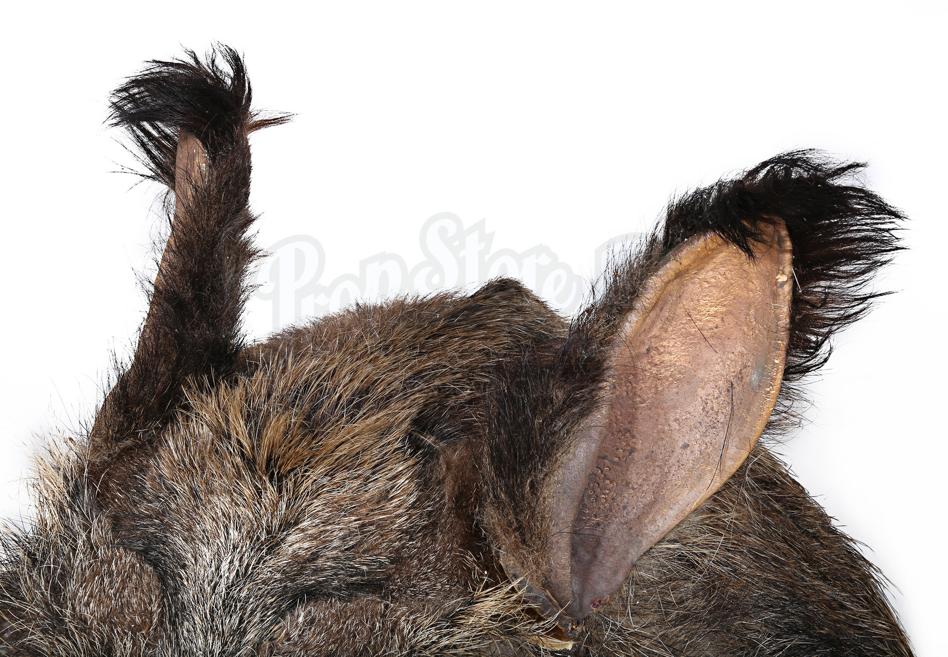 Hogfather Mechanical Boar Head | Prop Store - Ultimate Movie Collectables