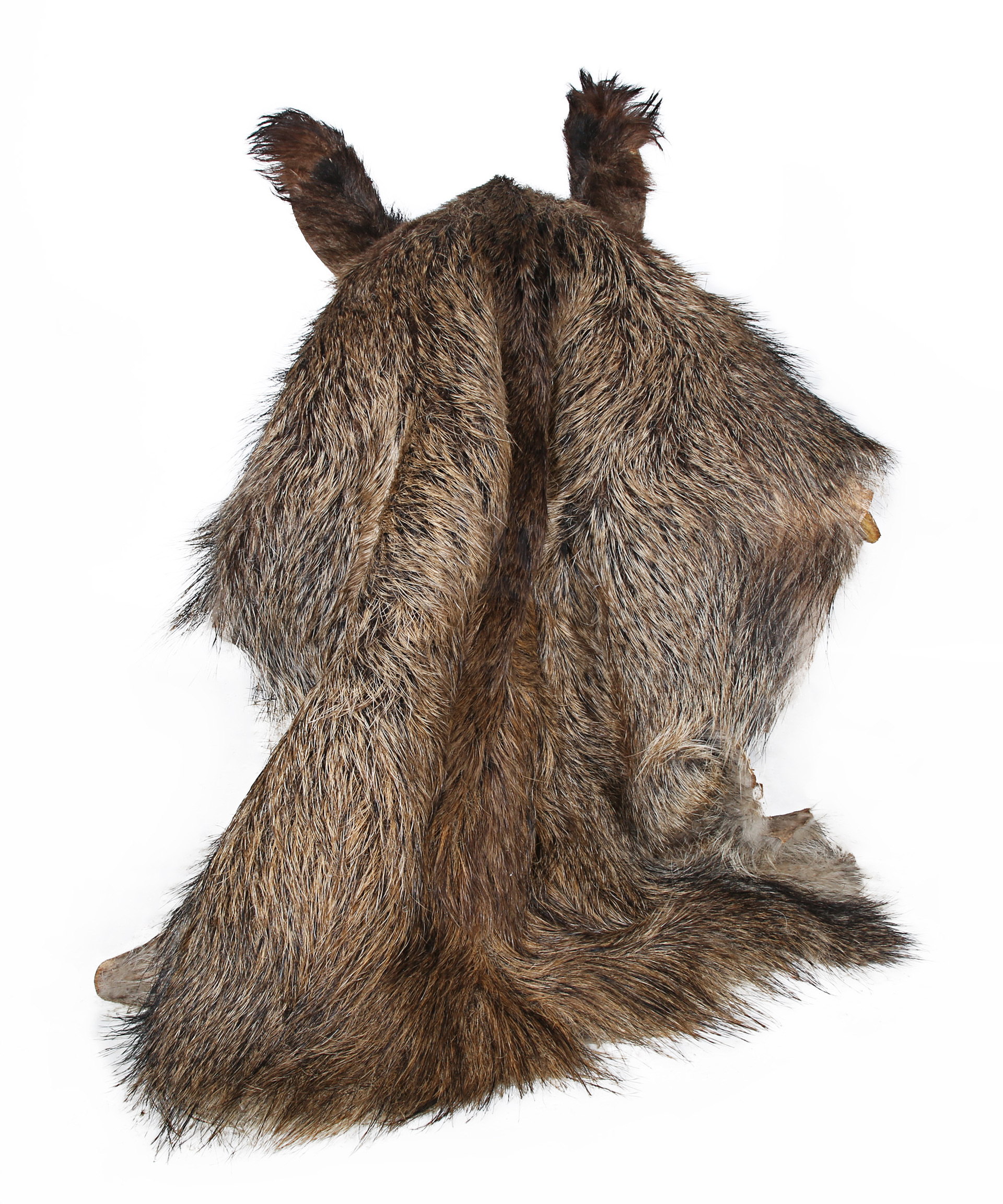 Hogfather Mechanical Boar Head | Prop Store - Ultimate Movie Collectables