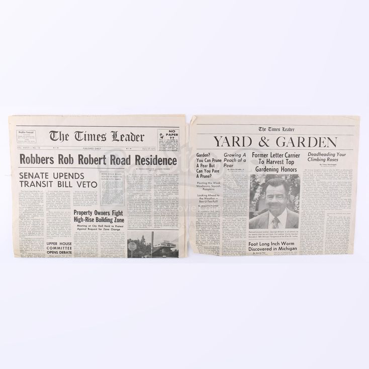 Prop Newspaper | DENNIS THE MENACE (1993)