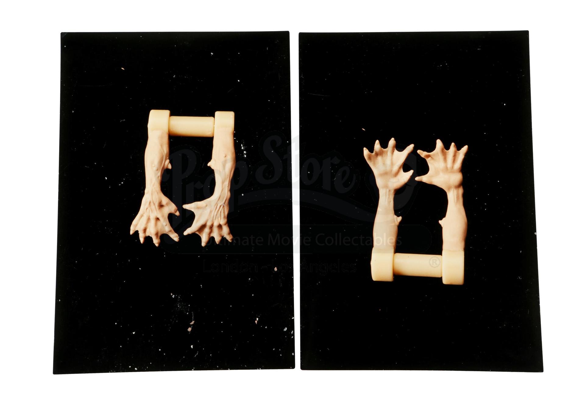 Lot # 616: Two Webbed Ghost Arm Mold Photos from Egon's Lab