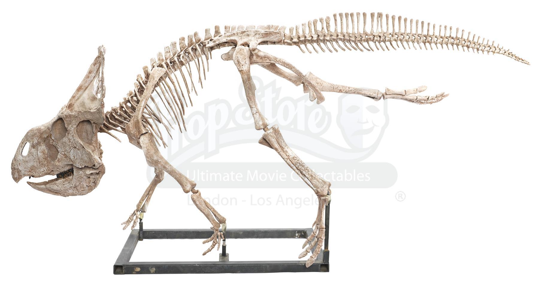Diorama Room Six-foot Protoceratops Skeleton | Prop Store - Ultimate ...