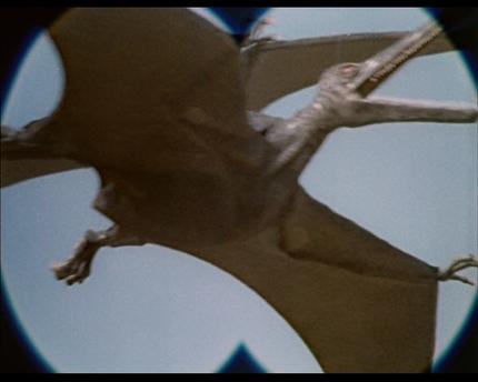 Special Effects Pterodactyl | Prop Store - Ultimate Movie Collectables
