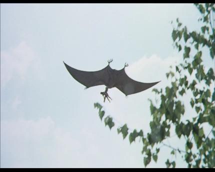 Special Effects Pterodactyl | Prop Store - Ultimate Movie Collectables