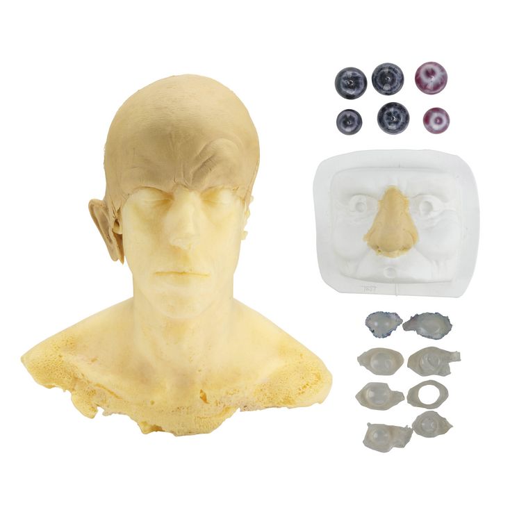 Lot # 1528: SMILE (2022) - Monster's Facial Appliances and Eyeballs