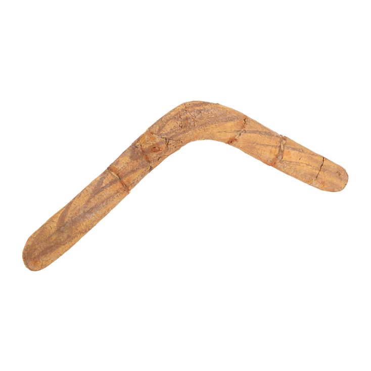 Lot 945. Edmund Blackadders (Rowan Atkinson) Potato Boomerang ...