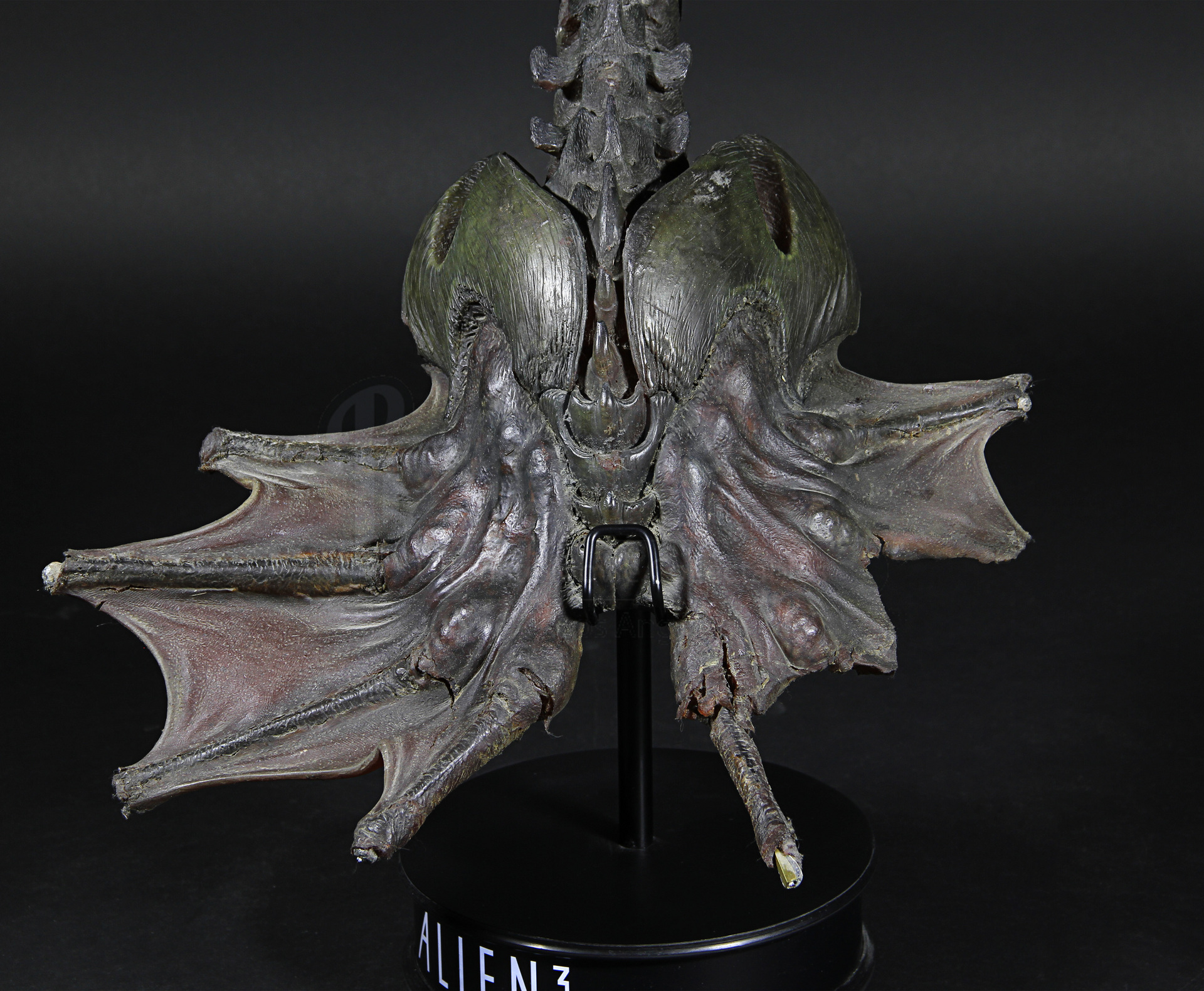 Super Facehugger Display | ALIEN3 (1992)