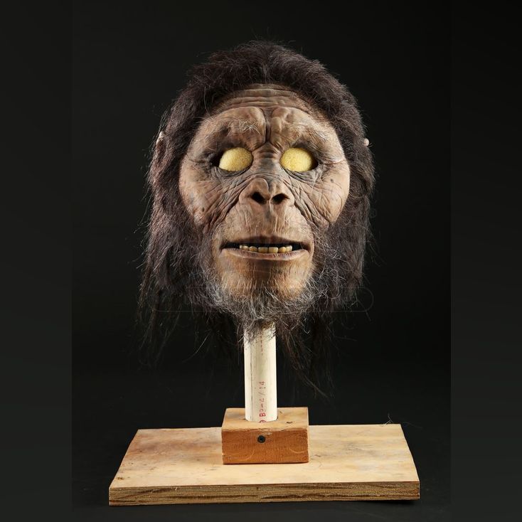 Cro-Magnon Man | POSTWATER COMMERCIAL