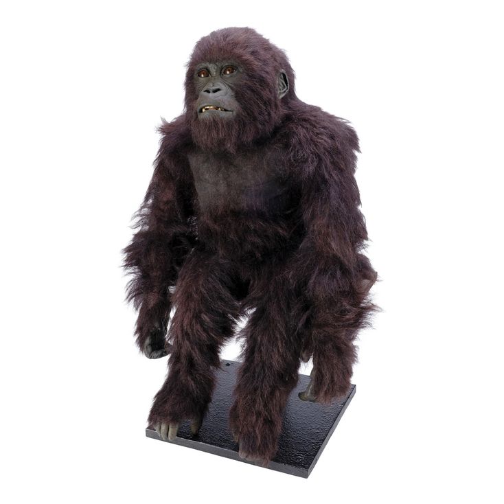 Lot 242 - Baby Joe (Verne Troyer) Costume Display with Mechanical Head ...