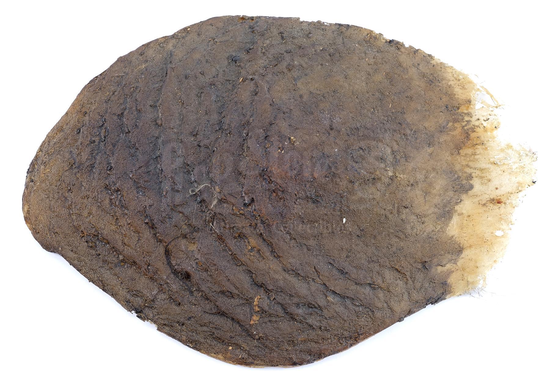 Lot #219 - DRAGONSLAYER (1981) - Phil Tippett Collection: Vermithrax ...