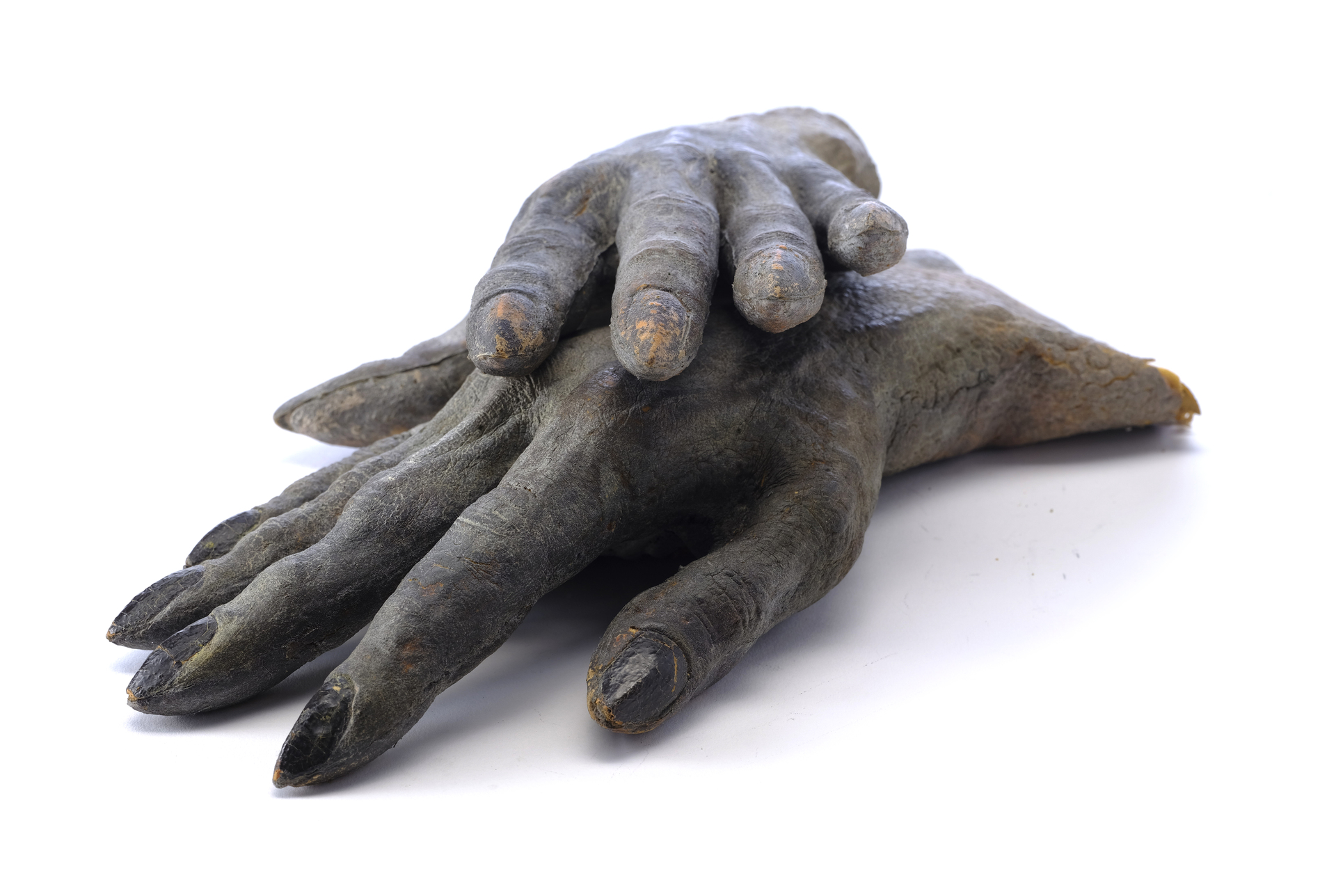 Lot 205 - The Creepers (Jonathan Breck) Head, Hands, and Boots ...