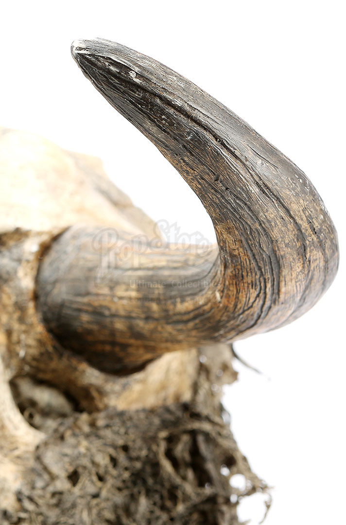 Minotaur Skull | Prop Store - Ultimate Movie Collectables