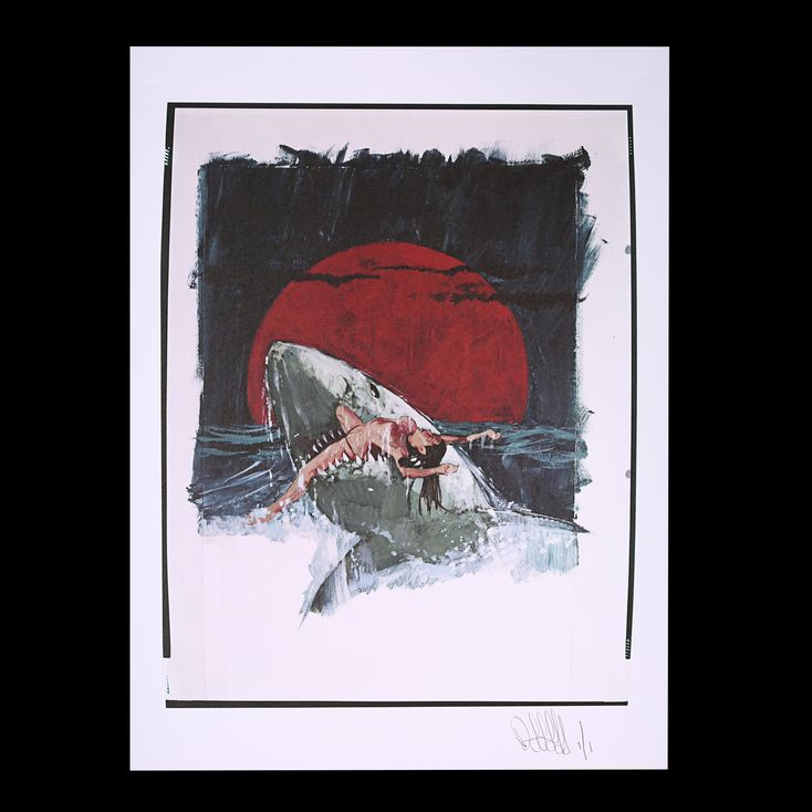 FEREF ARCHIVE Original Transparency and Negatives with 1 of 1 Proof ...