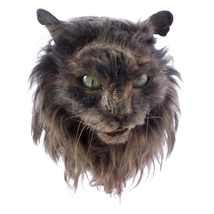 Animatronic Catzilla Head | MOUSEHUNT (1997)