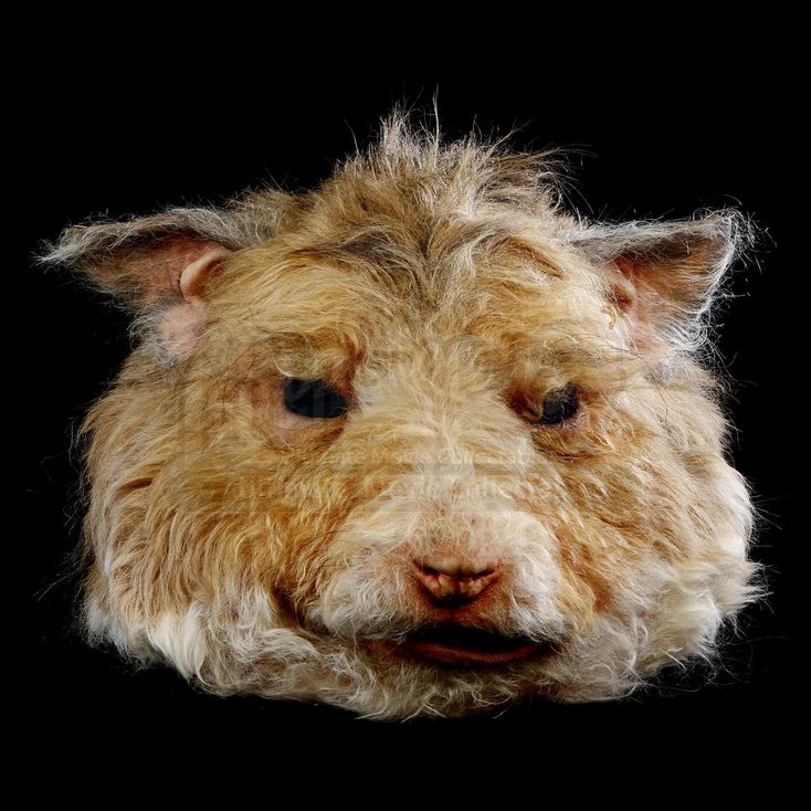 Lot 270 - Oversized Animatronic Hamster Puppet | NUTTY PROFESSOR II ...