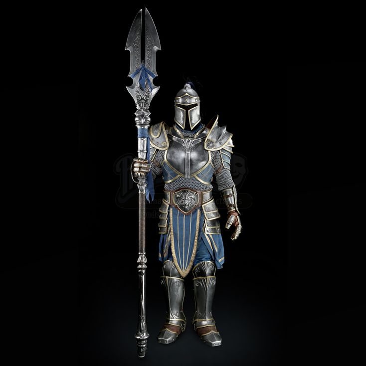 Lot 348 - Warcraft Auction - Alliance Knight Armor with Poleaxe ...