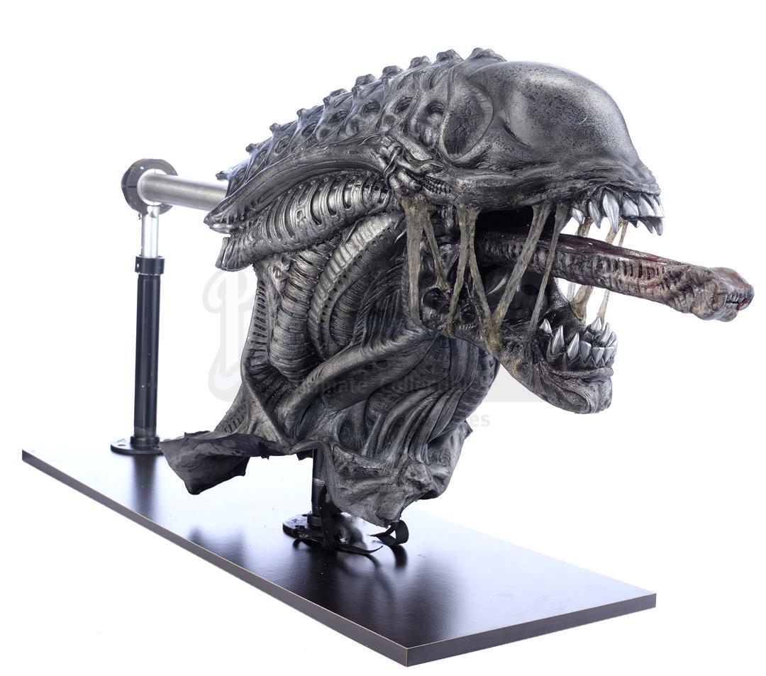 Lot #35 - ALIENS VS. PREDATOR: REQUIEM (2007) - Xenomorph Warrior ...