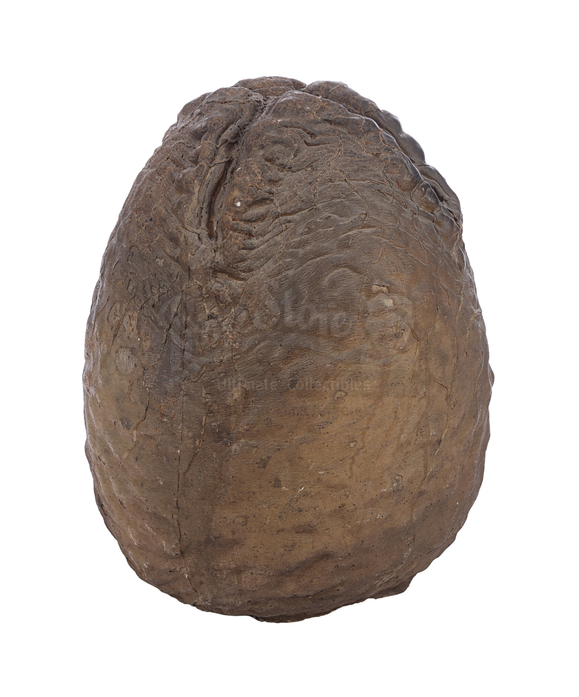 Lot # 10: ALIENS (1986) - Xenomorph Egg